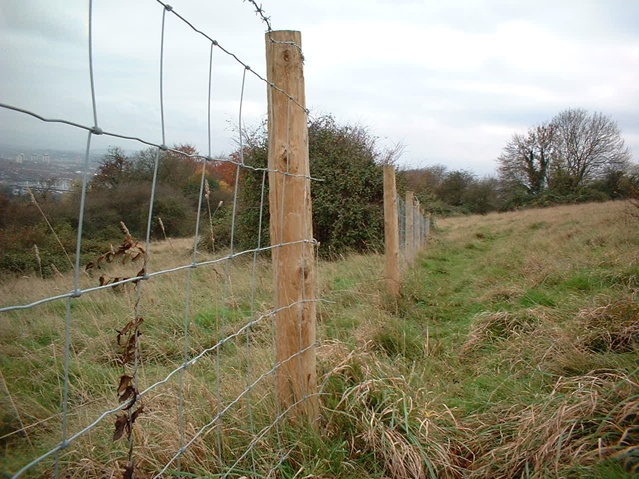How To Cut Fence Posts At Johnny Duffy Blog How To Cut Fence Posts At Johnny Duffy Blog