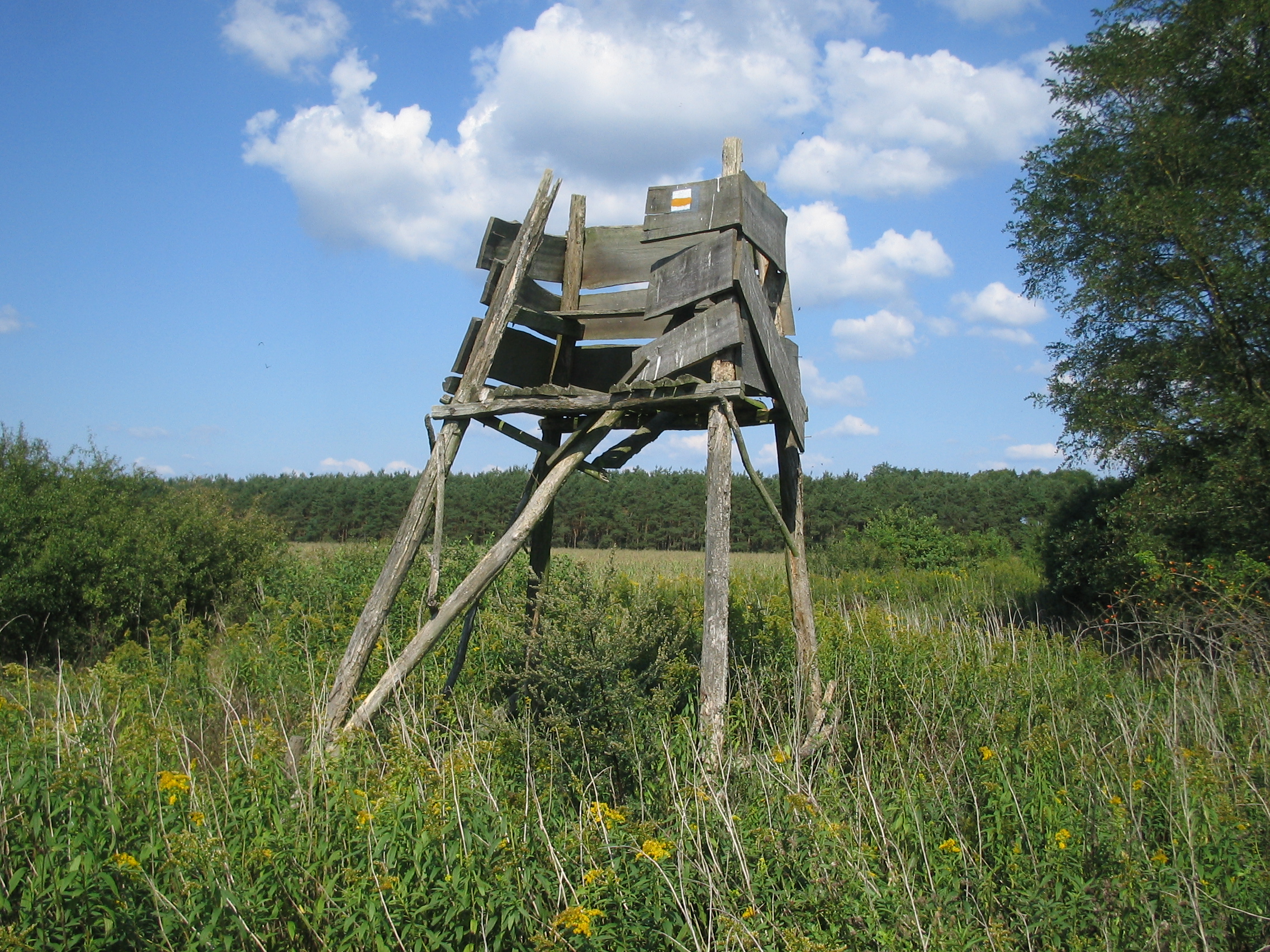BorderXing between Hungary (Kormend) and Austria (Gussing).
